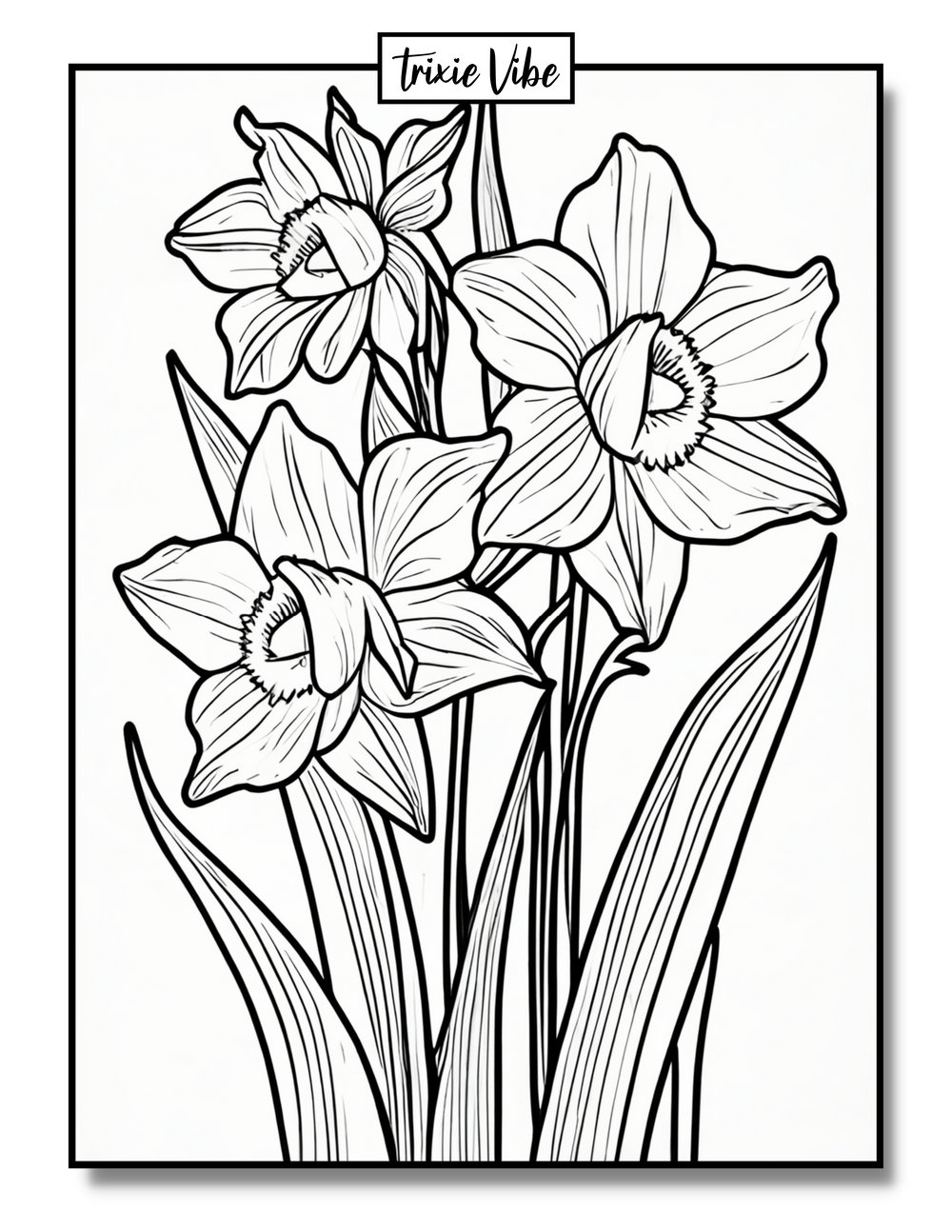 Daffodil Coloring Pages