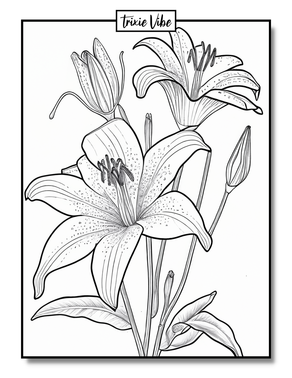 Lily Coloring Pages