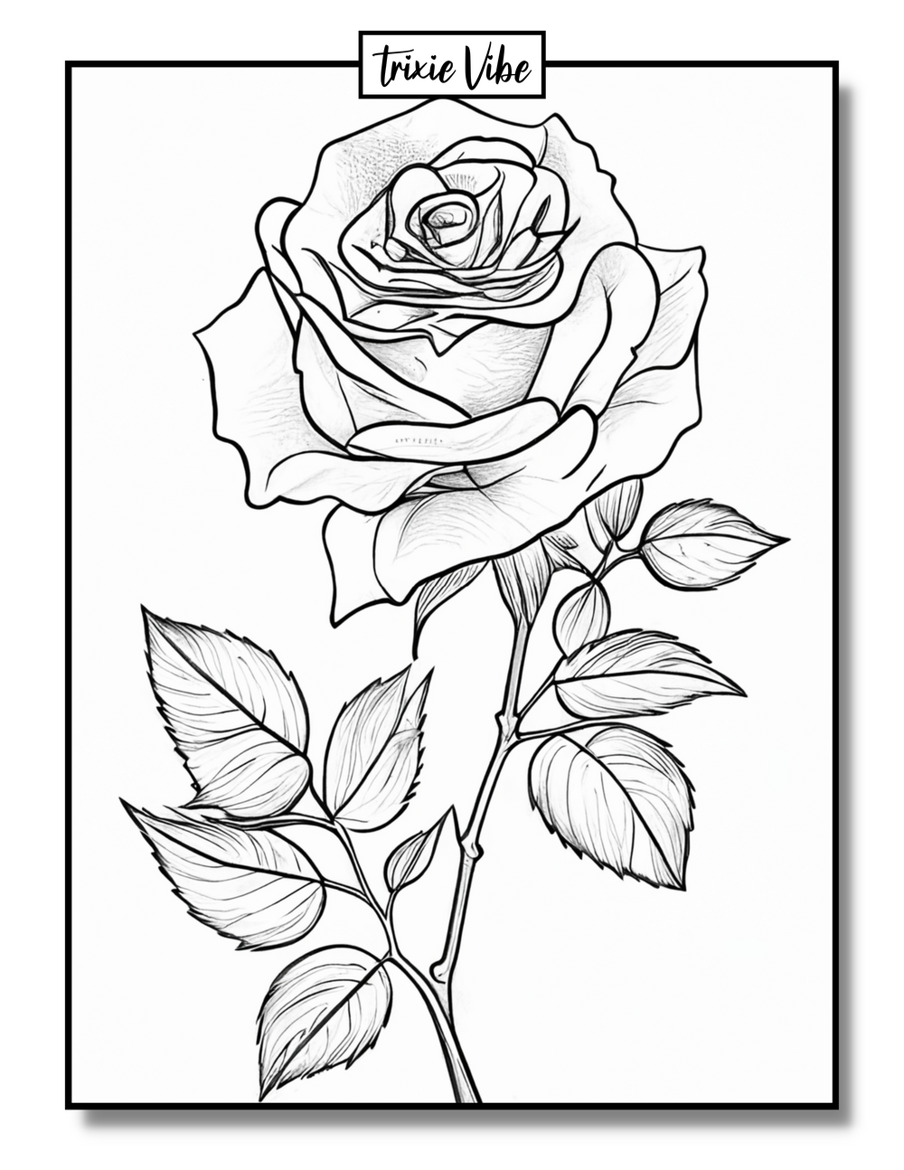 Rose Coloring Pages for Adults