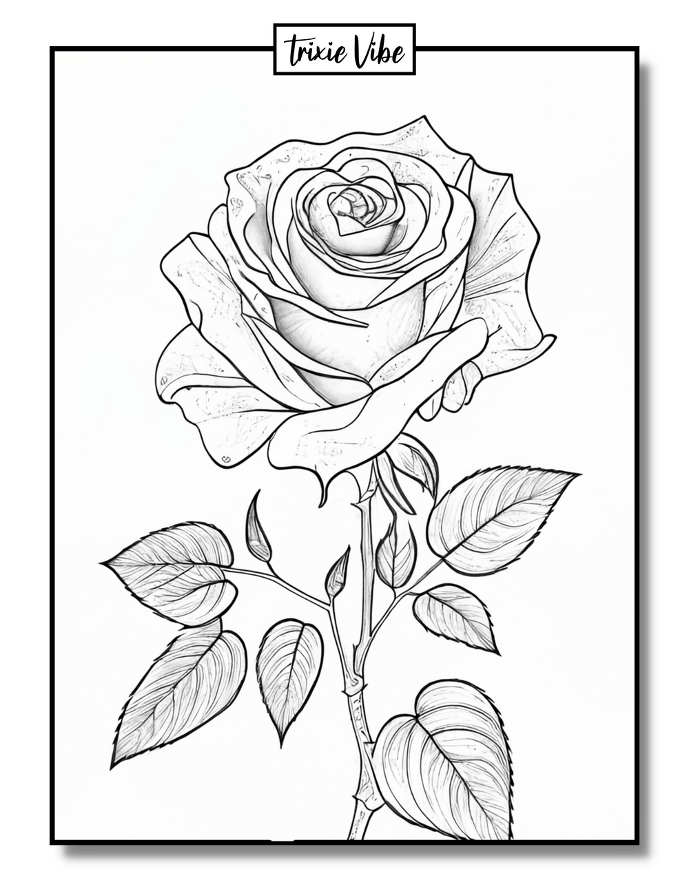 Rose Coloring Pages for Adults