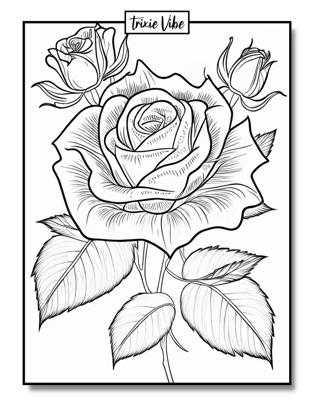 Rose Coloring Pages for Adults