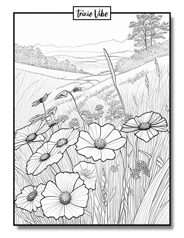 Meadow Coloring Pages